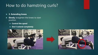 Hamstring Curl | PPTX