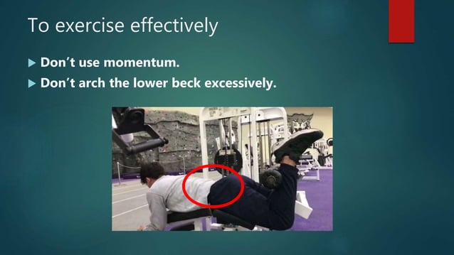 Hamstring Curl | PPTX