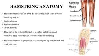 Hamstring injury | PPTX