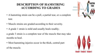 Hamstring injury | PPTX