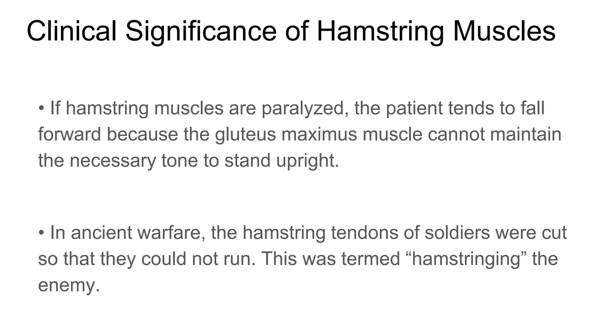 Hamstring Muscles (1).pptx