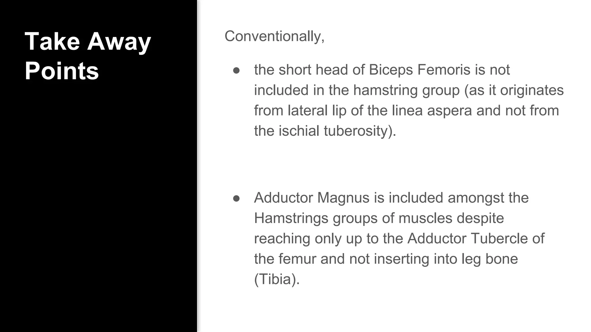Hamstring Muscles (1).pptx