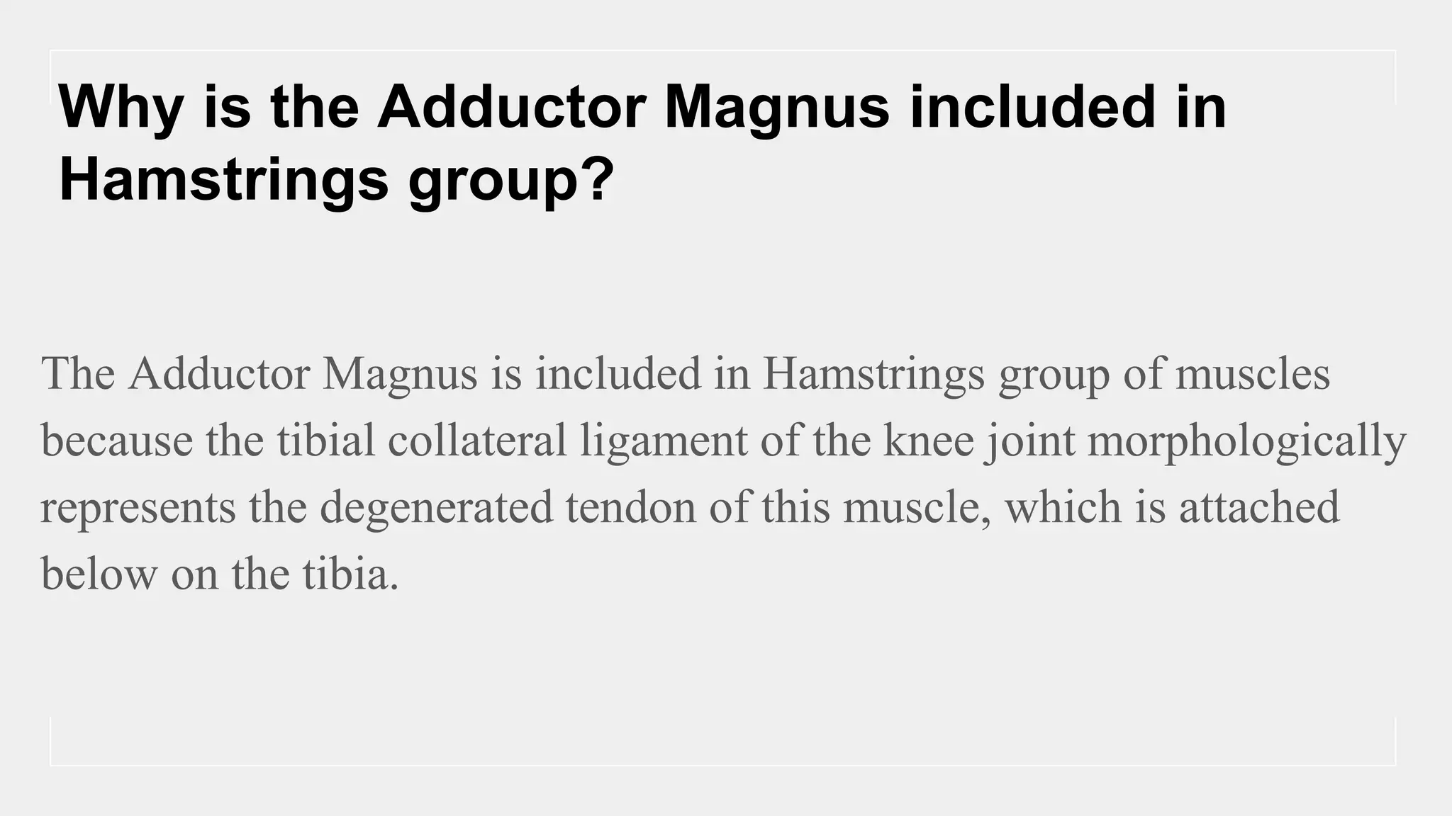 Hamstring Muscles (1).pptx