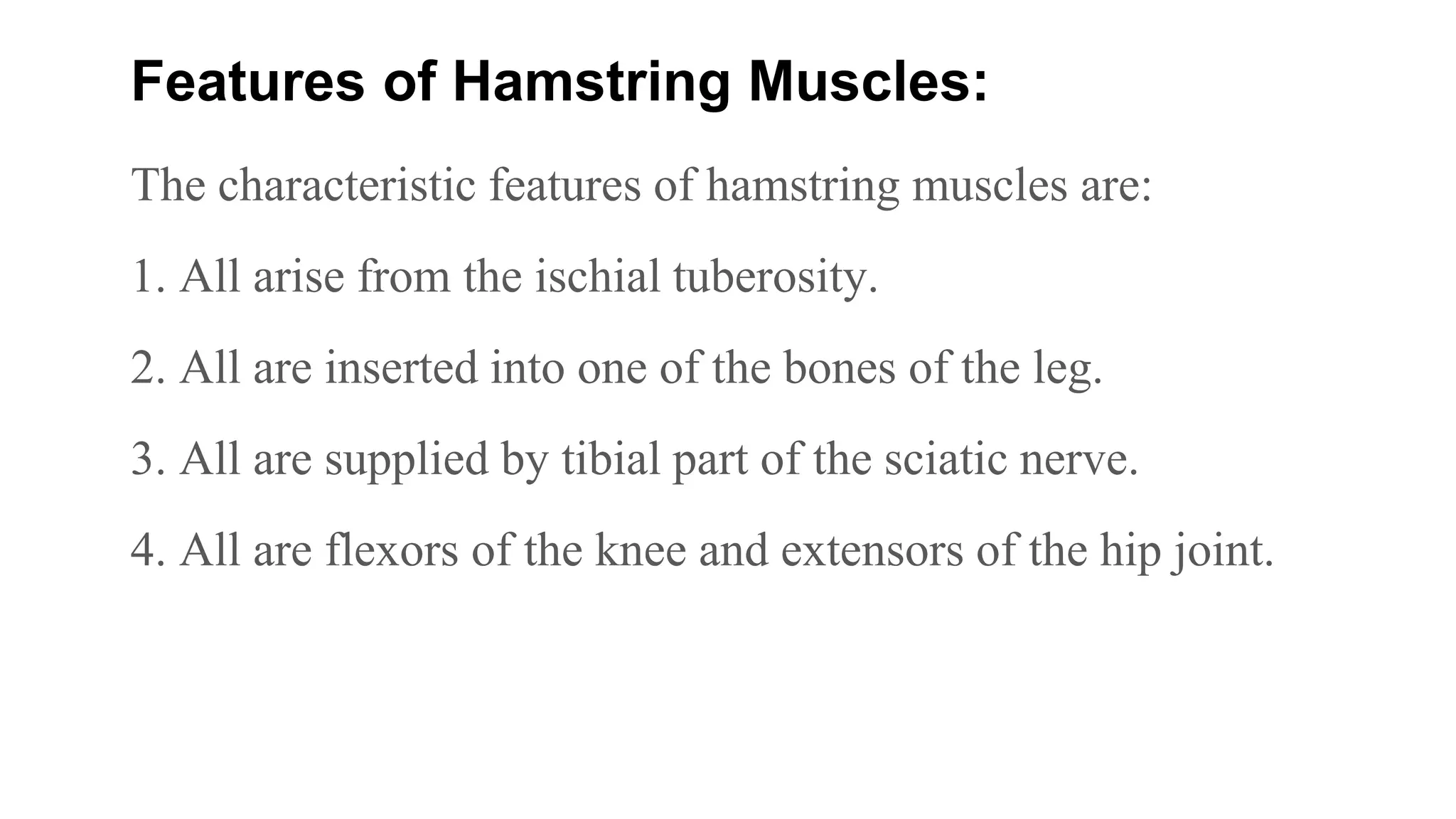 Hamstring Muscles (1).pptx