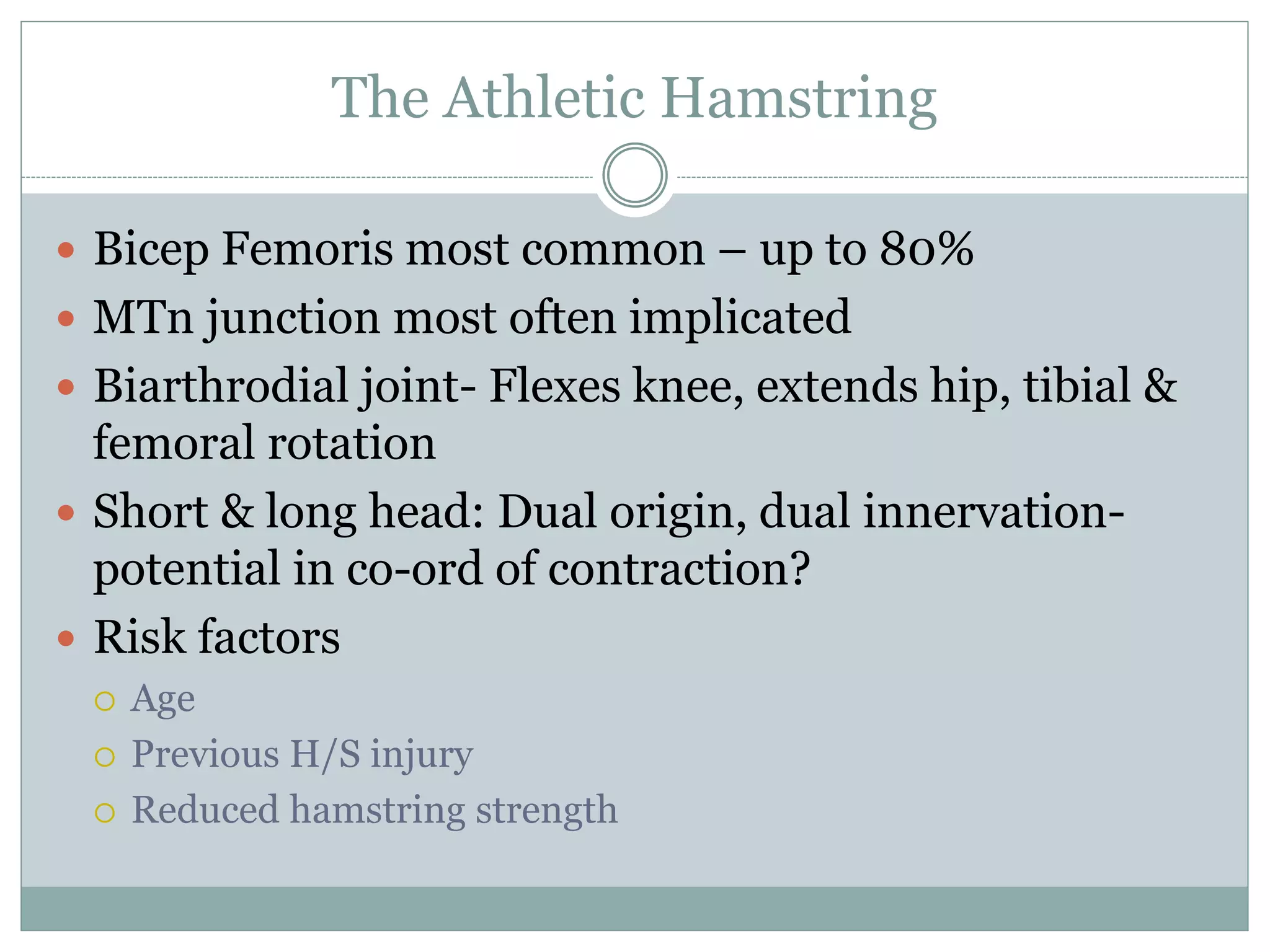 The Athletic Hamstring | PPTX