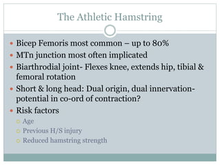 The Athletic Hamstring | PPT