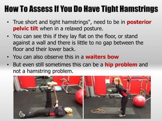 Understanding Hamstring Muscles & Their Role With Stability | PPTX