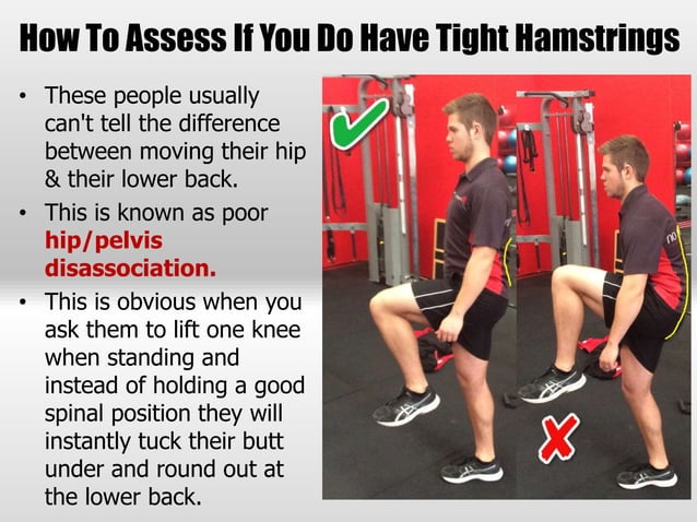 Understanding Hamstring Muscles & Their Role With Stability | PPTX