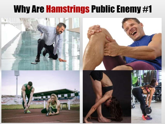 Understanding Hamstring Muscles & Their Role With Stability | PPTX