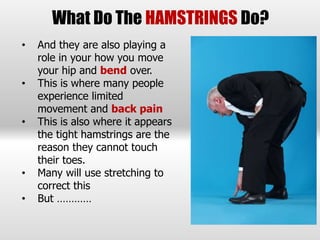 Understanding Hamstring Muscles & Their Role With Stability | PPTX