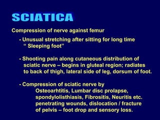 Hamstrings sciatic nerve | PPT