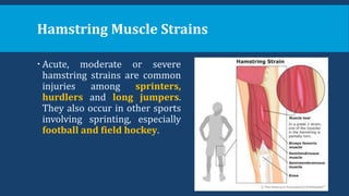 Hamstring strain | PPTX
