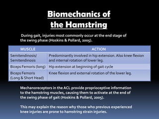 Hamstring strain pp | PPTX