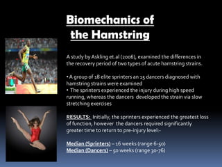 Hamstring strain pp | PPTX