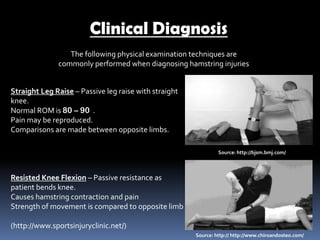 Hamstring strain pp | PPTX
