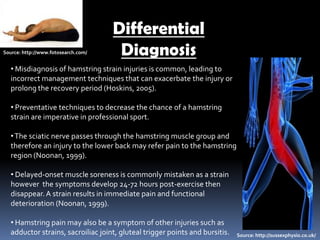 Hamstring strain pp | PPTX