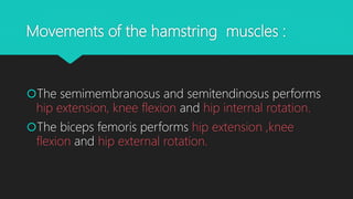 Hamstring strain | PPTX