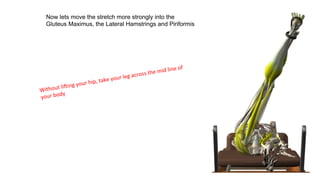 FREE HAMSTRINGS TUTORIAL | PPT
