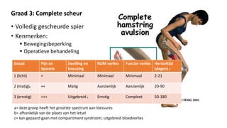 Hamstring tendinopathy | PPTX