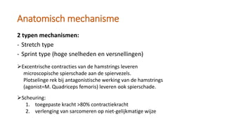 Hamstring tendinopathy | PPTX