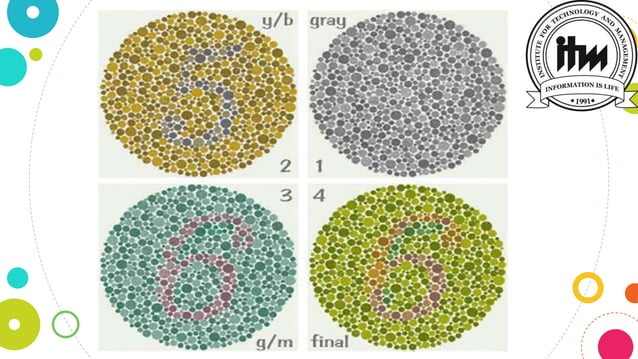 Hamza color vision | PPT