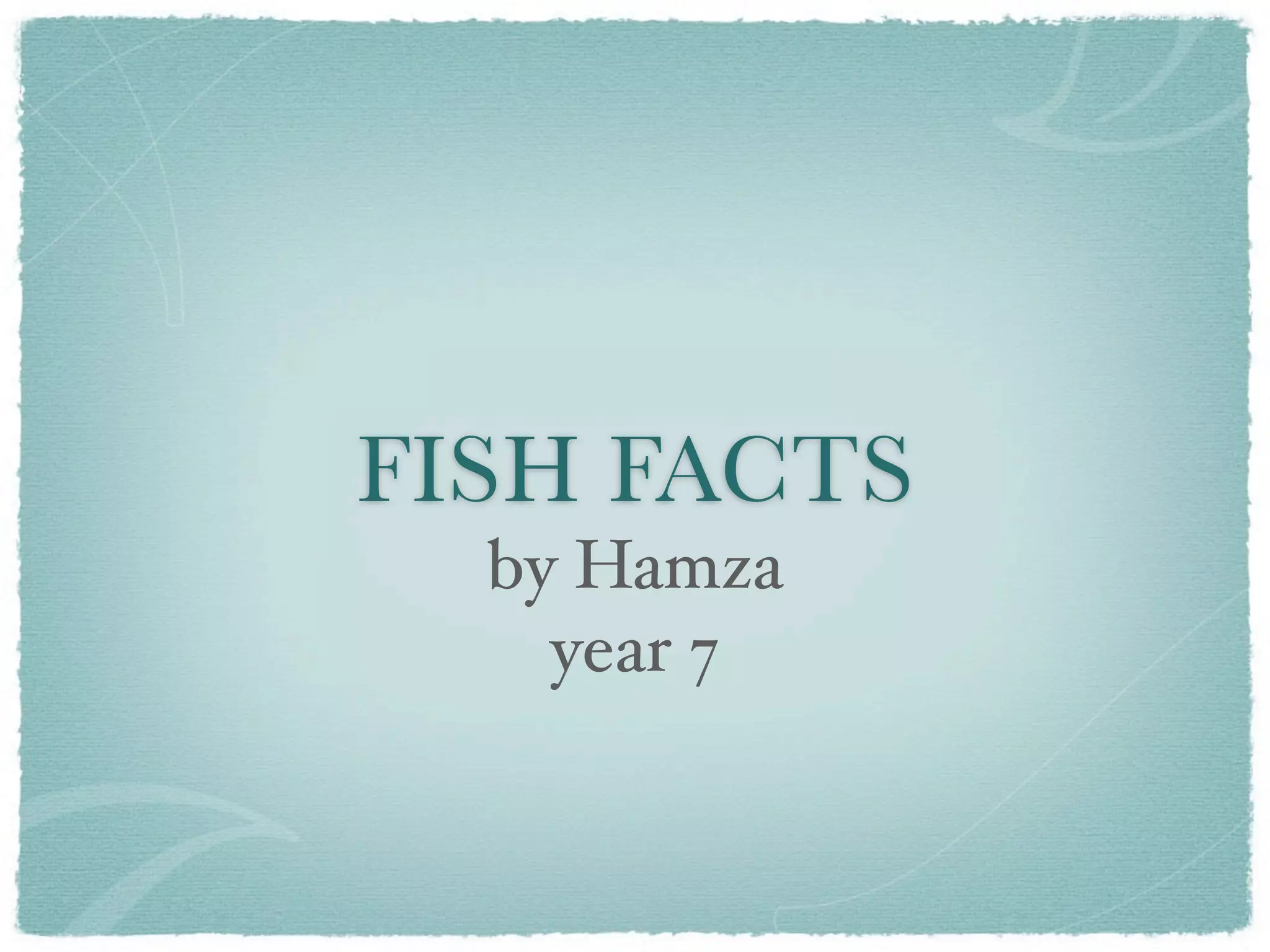 Hamza fish | KEY