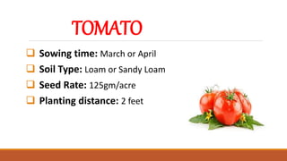 Cultivation method of different vegetables | PPTX