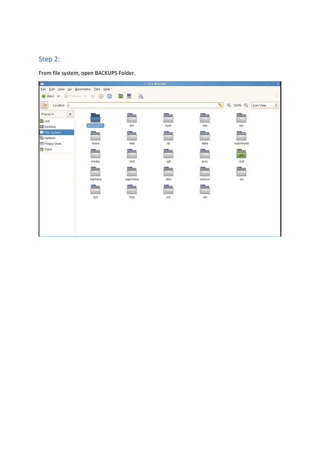 Sap Business One Hana Backup Pdf