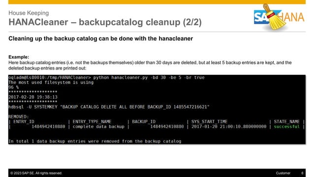 SAP HANA database cleaner options via scripts | PDF | Computing | Technology & Computing