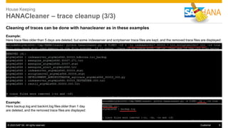 SAP HANA database cleaner options via scripts | PDF