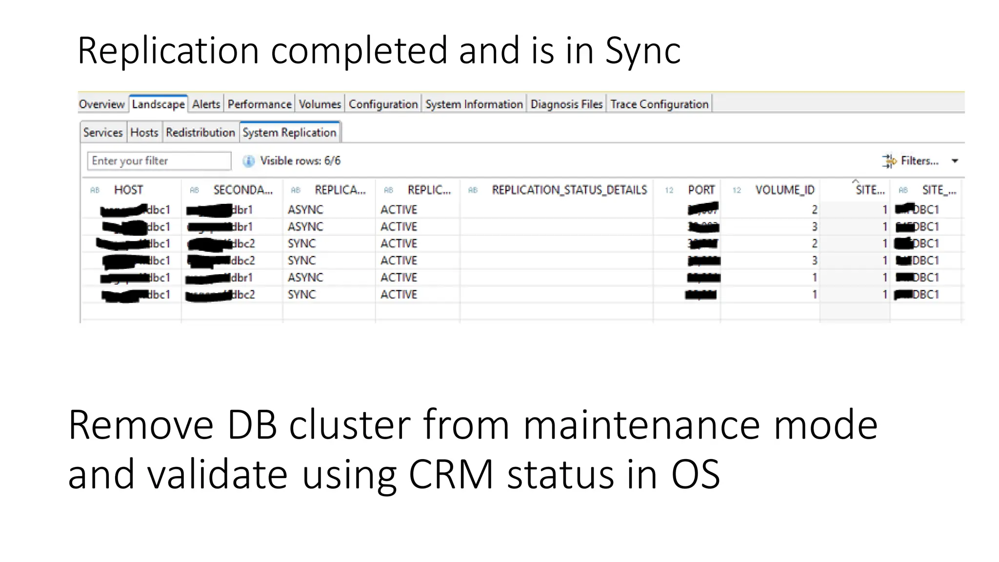 HANA Data and Log Reclaim (Procedure in HA DB cluster).pdf