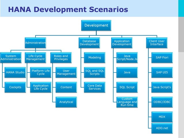 HANA Modeling | PPT | Databases | Computer Software and Applications