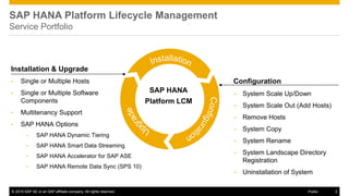 What's New in SAP HANA SPS 11 Platform Lifecycle Management (Operations ...