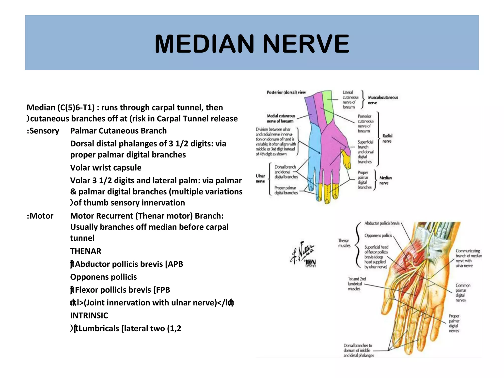 Anatomy of Hand | PPT