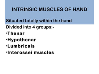 Anatomy of Hand | PPT