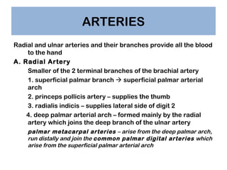 Anatomy of Hand | PPT