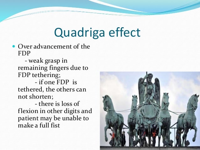 Tendon injuries of hand