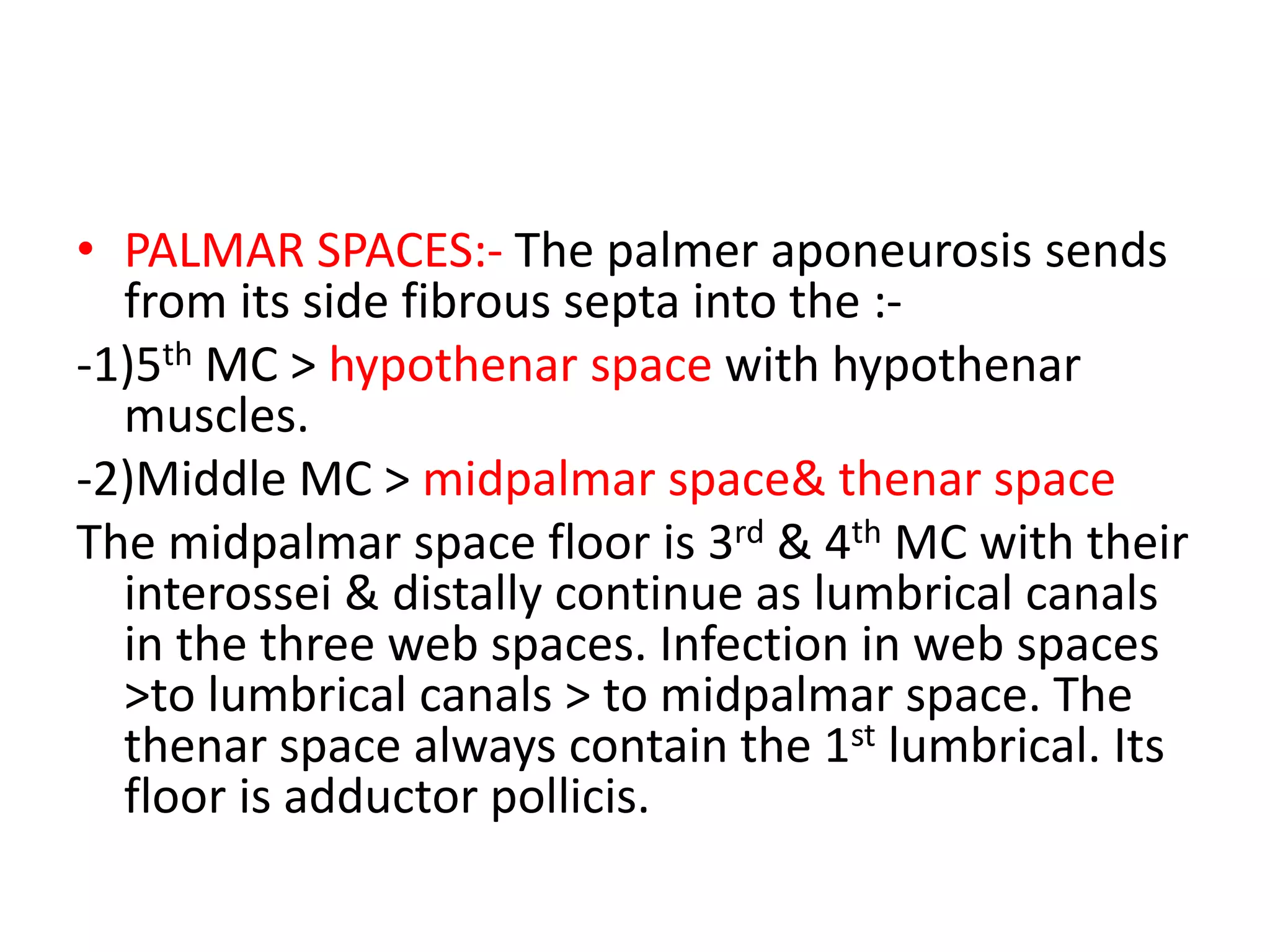 Anatomy of the Hand By Dr. G kamau | PPTX