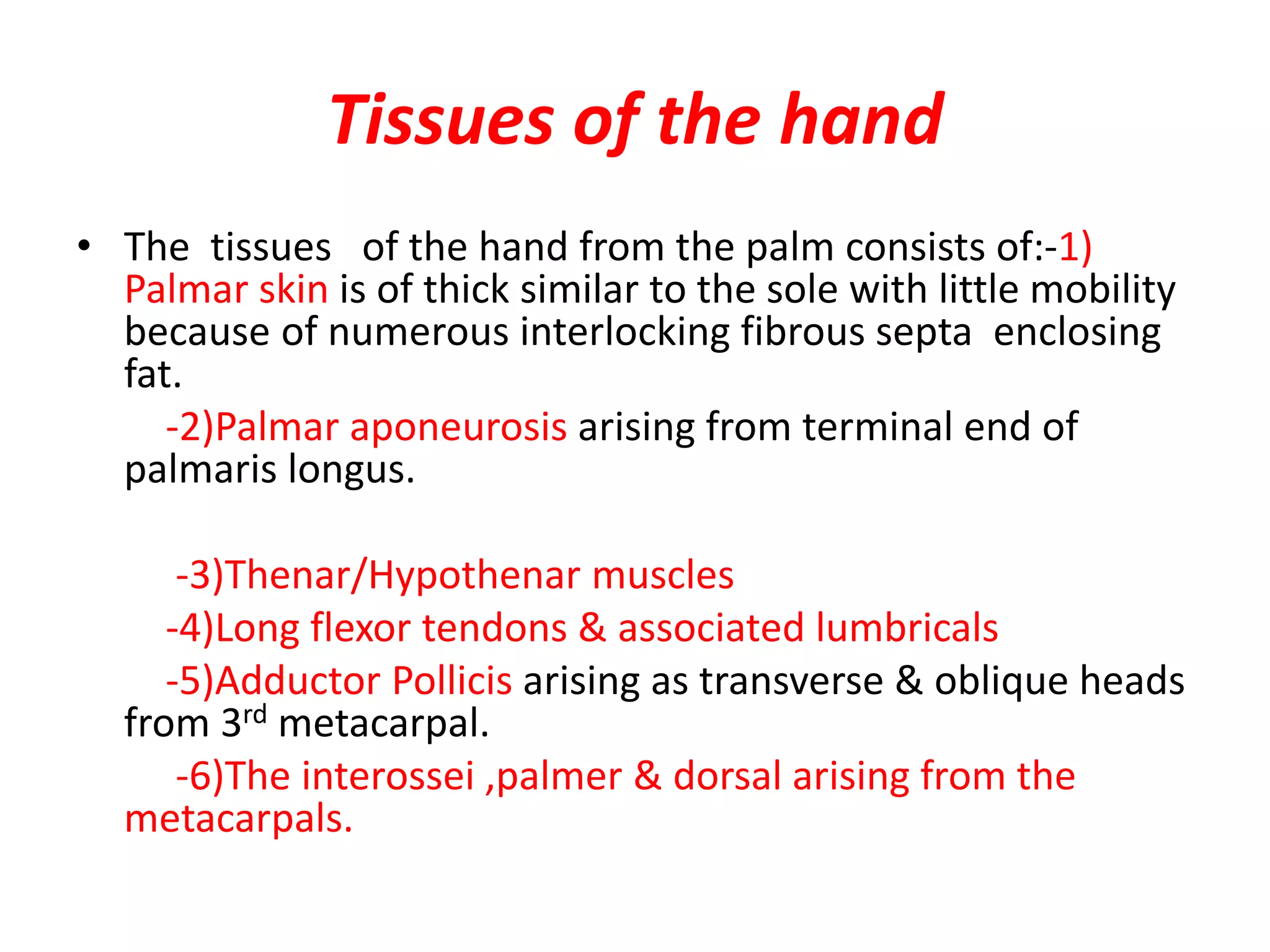 Anatomy of the Hand By Dr. G kamau | PPTX