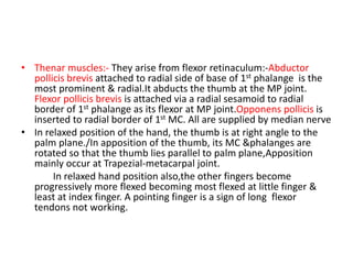 Anatomy of the Hand By Dr. G kamau | PPTX