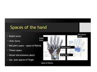 Anatomy of the Hand By Dr. G kamau | PPTX