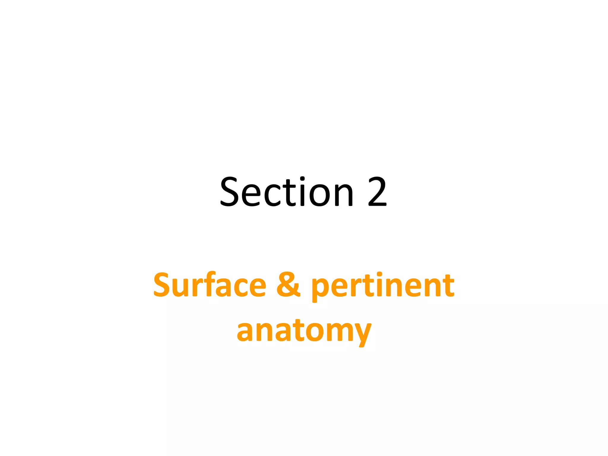 Hand surface anatomy | PPTX