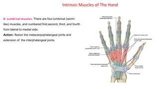 hand.pdf
