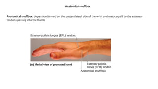 hand.pdf