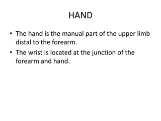 HAND.pptx