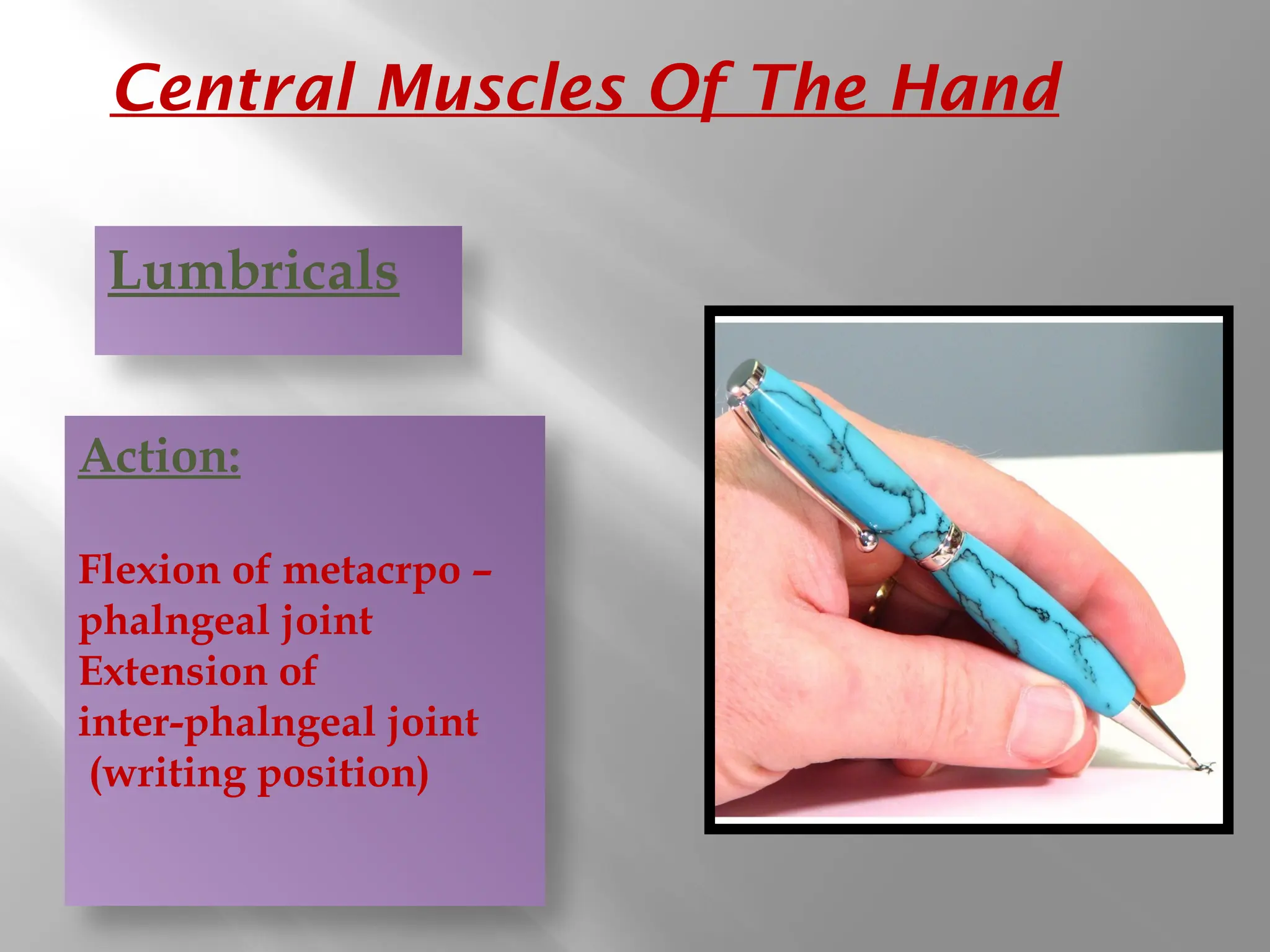 anatomy of the hand and its blood supply.ppt