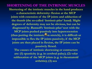Hand and bone of the hand anatomy and orthopedic | PPTX