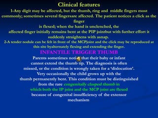 Hand and bone of the hand anatomy and orthopedic | PPTX