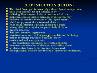 Hand and bone of the hand anatomy and orthopedic | PPT