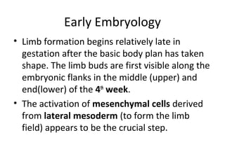 Hand a clue to pediatric diagnosis | PPT